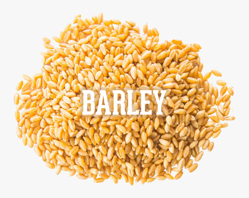 Emmer, HD Png Download , Transparent Png Image - PNGitem