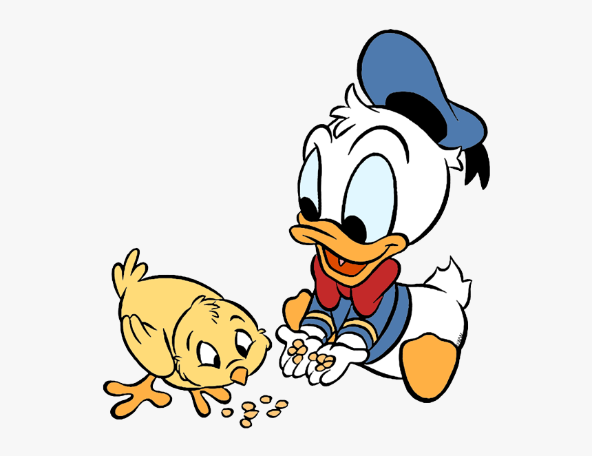 Donald Duck As Chick, HD Png Download , Transparent Png Image - PNGitem
