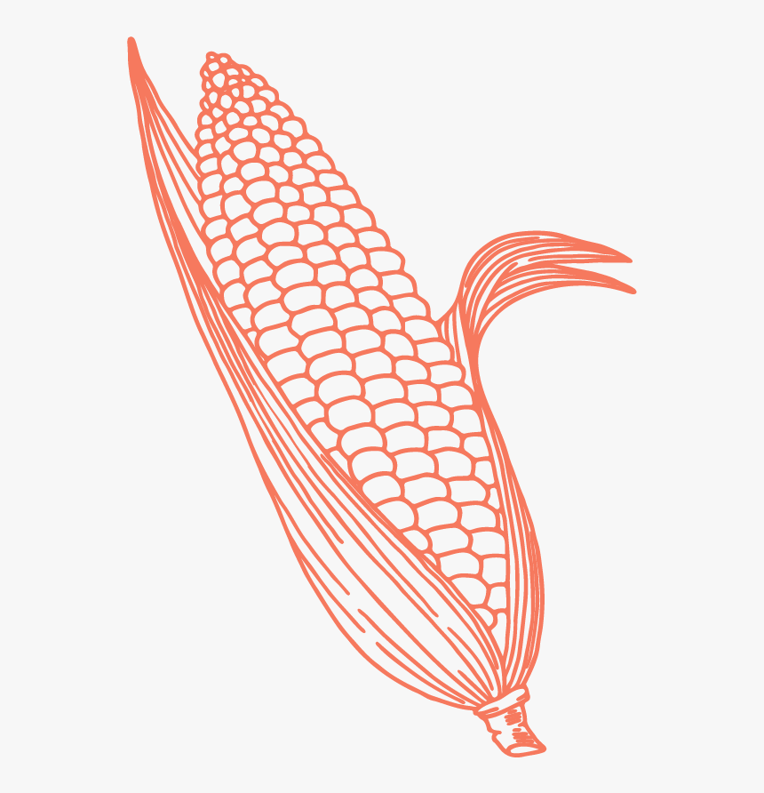 Corn - Corn Vector Pattern, HD Png Download , Transparent Png Image ...