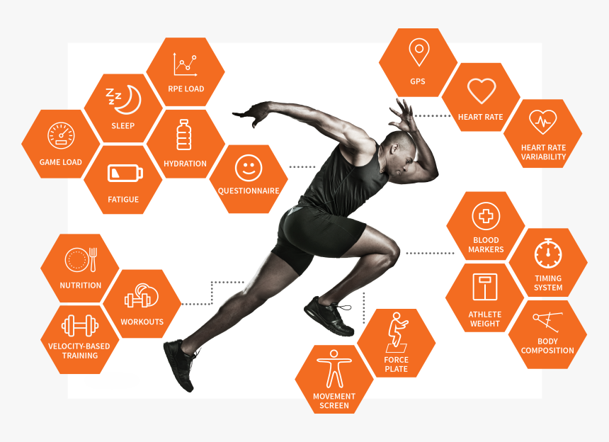 Sports Science, HD Png Download , Transparent Png Image - PNGitem