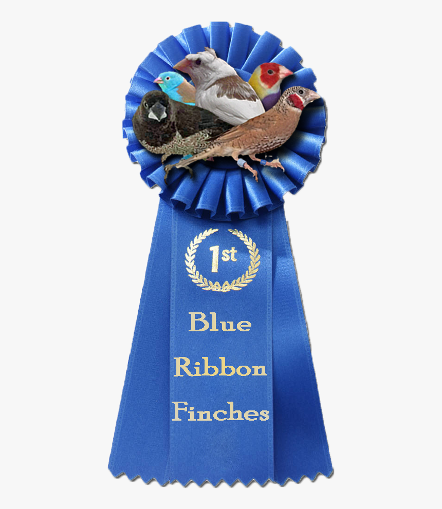 Blue Ribbon Logo Copy - Charlotte's Web Blue Ribbon, HD Png Download ...