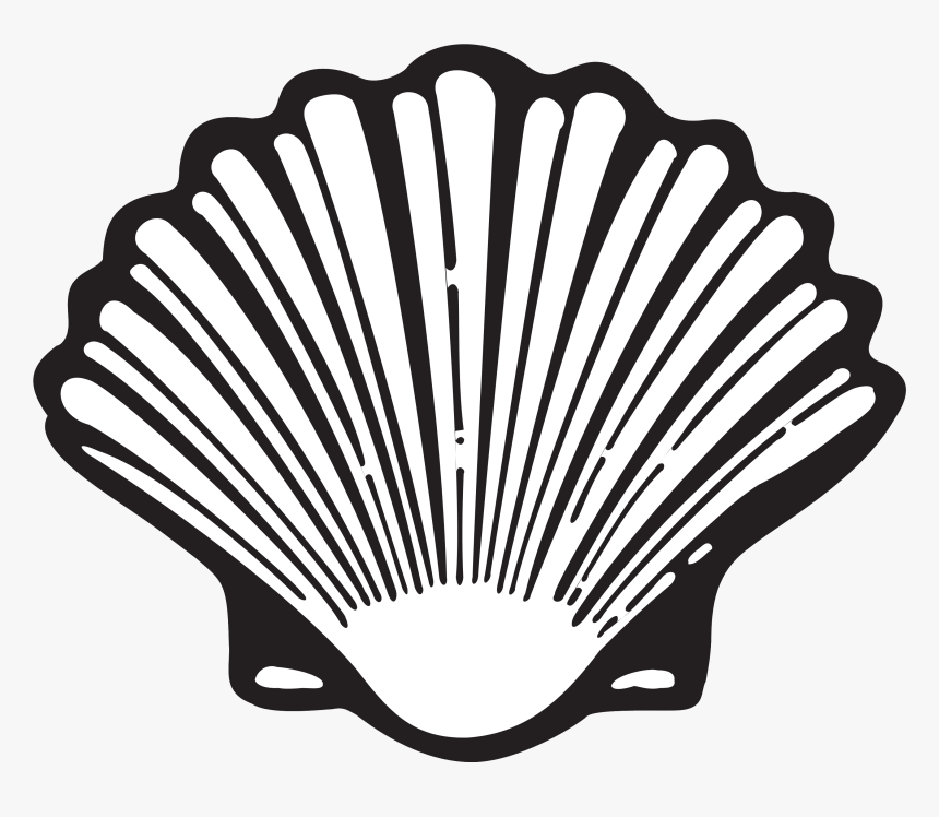 Shell - Shell Logo Evolution, HD Png Download , Transparent Png Image ...