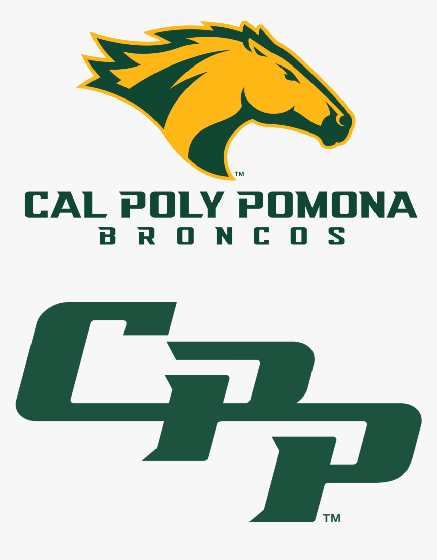 Transparent Bronco Png - Cal Poly Pomona Broncos, Png Download ...