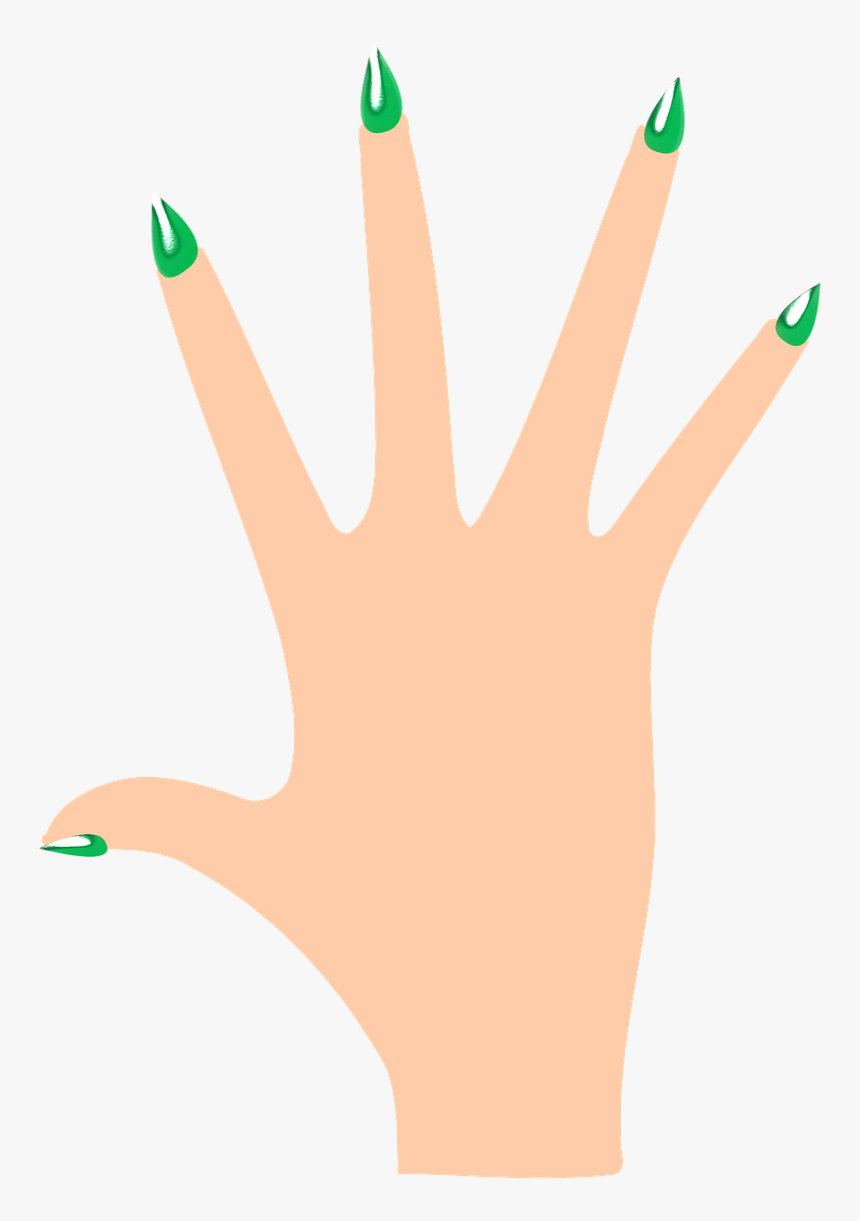 Nail, HD Png Download , Transparent Png Image - PNGitem