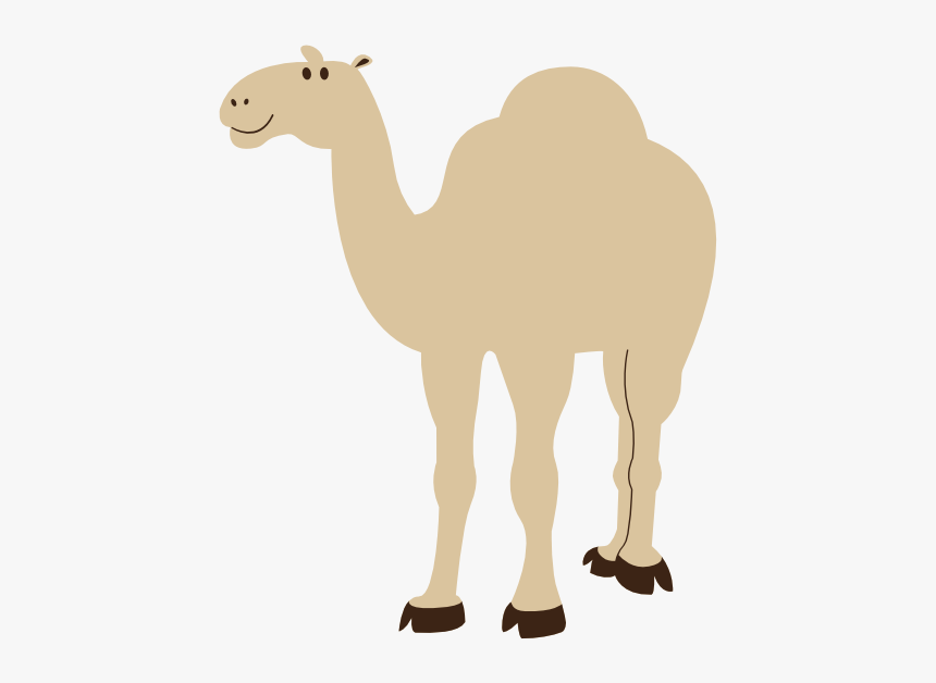 Colorful Animal Camel Geometry 555px - Camel Picture No Background, HD ...