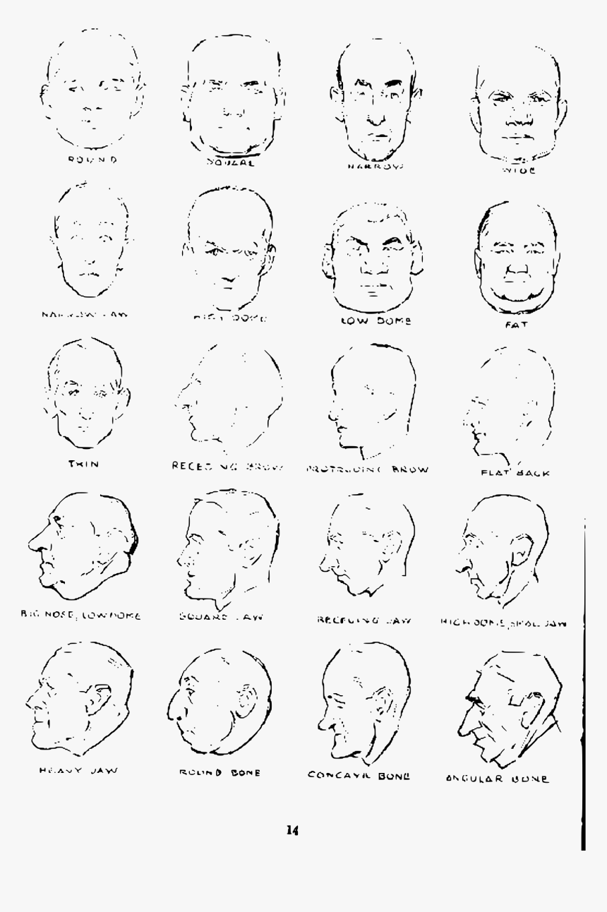 Andrew Loomis Drawing The Head And Hands 10 Clip Arts - Drawing, HD Png ...