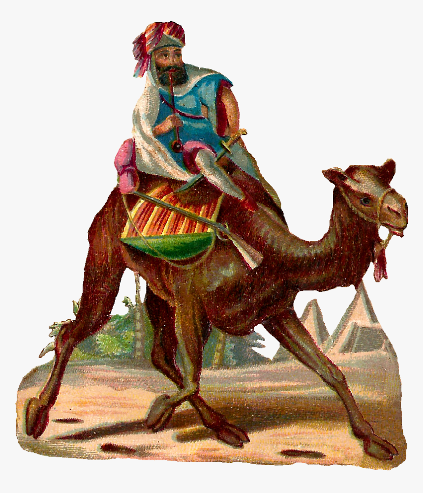 Camel Rider Desert Image - Camel Rider Transparent, HD Png Download ...
