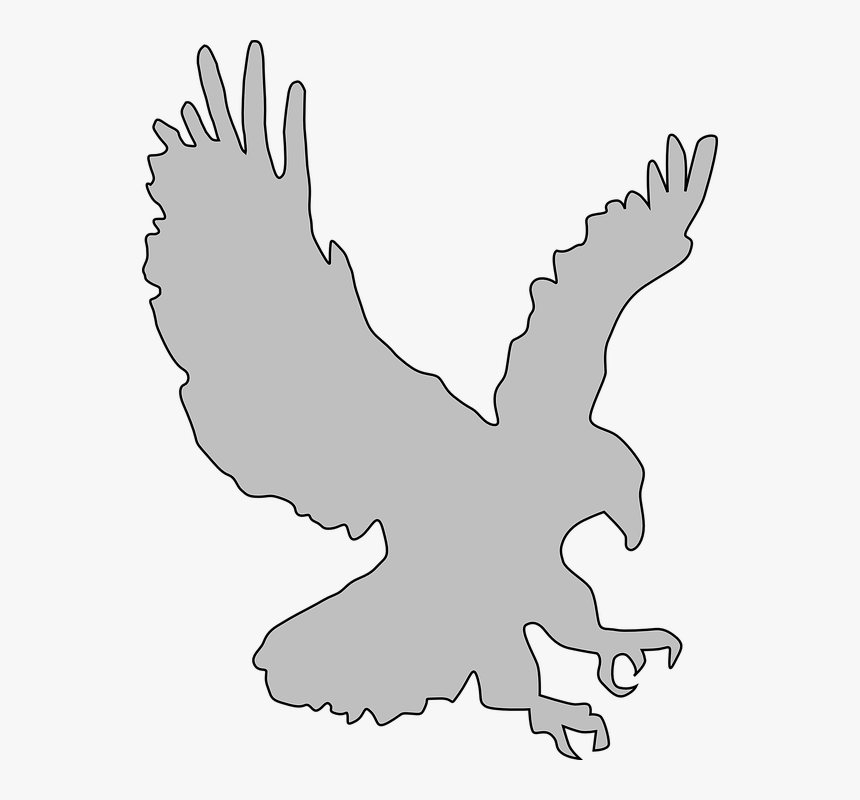 Transparent Eagle Outline Png - Eagle Outline Transparent Background ...