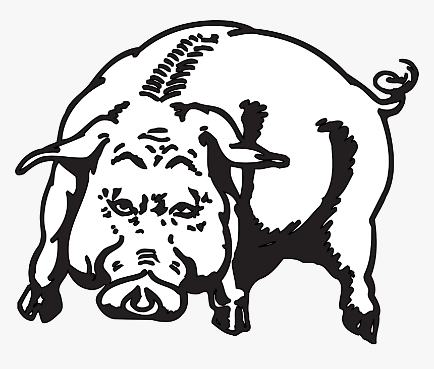 Angry, Pig, Animal, Hog, Piggy, Mammal - Hog Graphics, HD Png Download ...