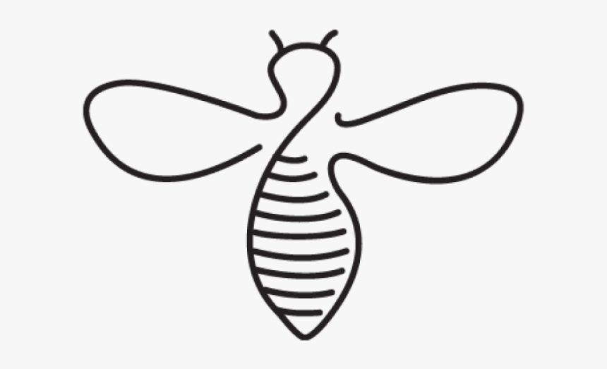 Bee Outline - Clip Art Outline Bee, HD Png Download , Transparent Png ...