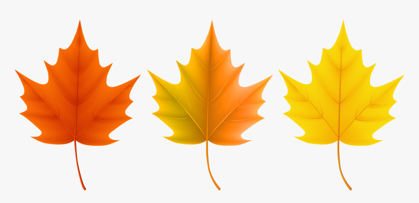 Autumn Leaves Set Png Clip Art Imageu200b Gallery Yopriceville ...