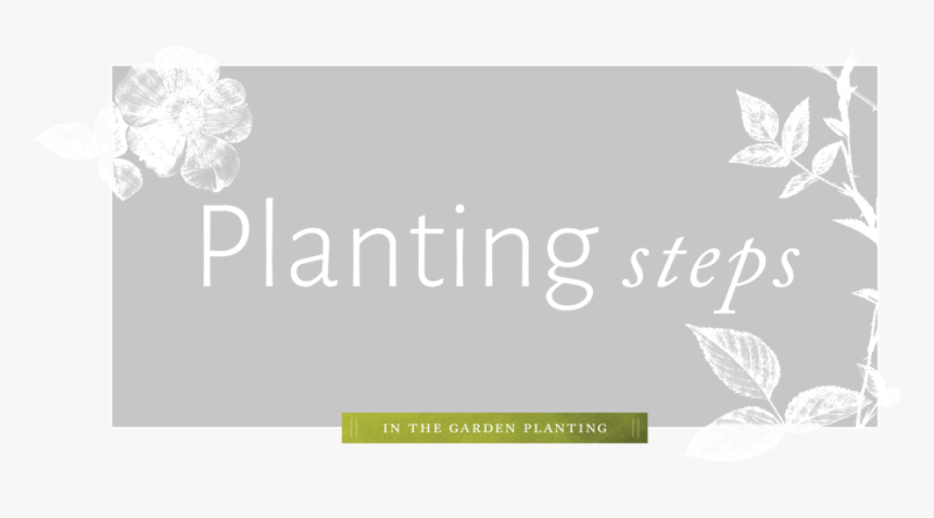 Planting - Graphic Design, HD Png Download , Transparent Png Image ...