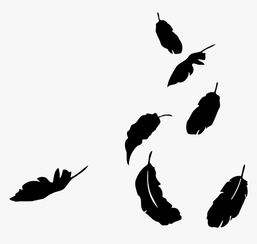 Falling Feathers Png