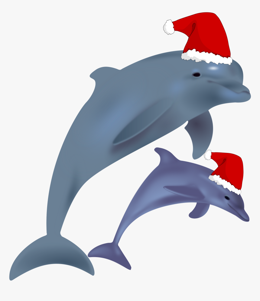 Common Bottlenose Dolphin Jumping Clip Art Christmas - Christmas ...