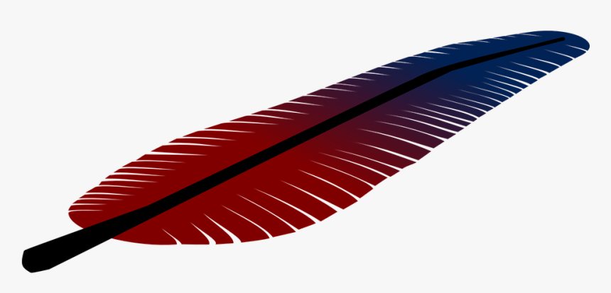 Fedder Quill Red Free Vector Graphic On - Feather Clip Art, HD Png ...