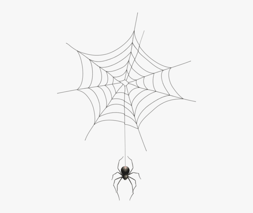 Spider Web Logo No Background - Transparent Background Spider Web Png ...