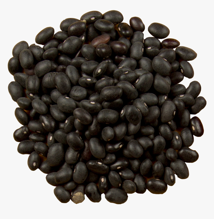 Burrito Black Turtle Bean Food Mrs - Black Coco Beans, HD Png Download ...