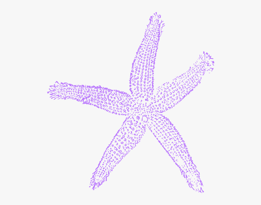 Transparent Purple Shell Clipart - Navy Blue Starfish Clipart, HD Png ...