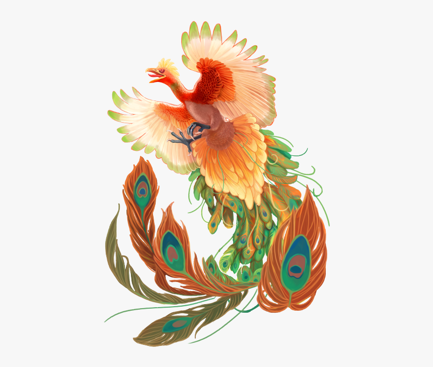 Illustration Sketch Phoenix Pocket Monsters Transparent - Realistic ...