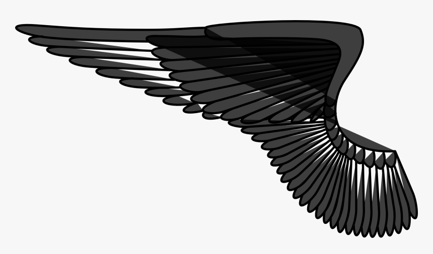 Left Angel Wing Transparent, HD Png Download , Transparent Png Image - PNGitem