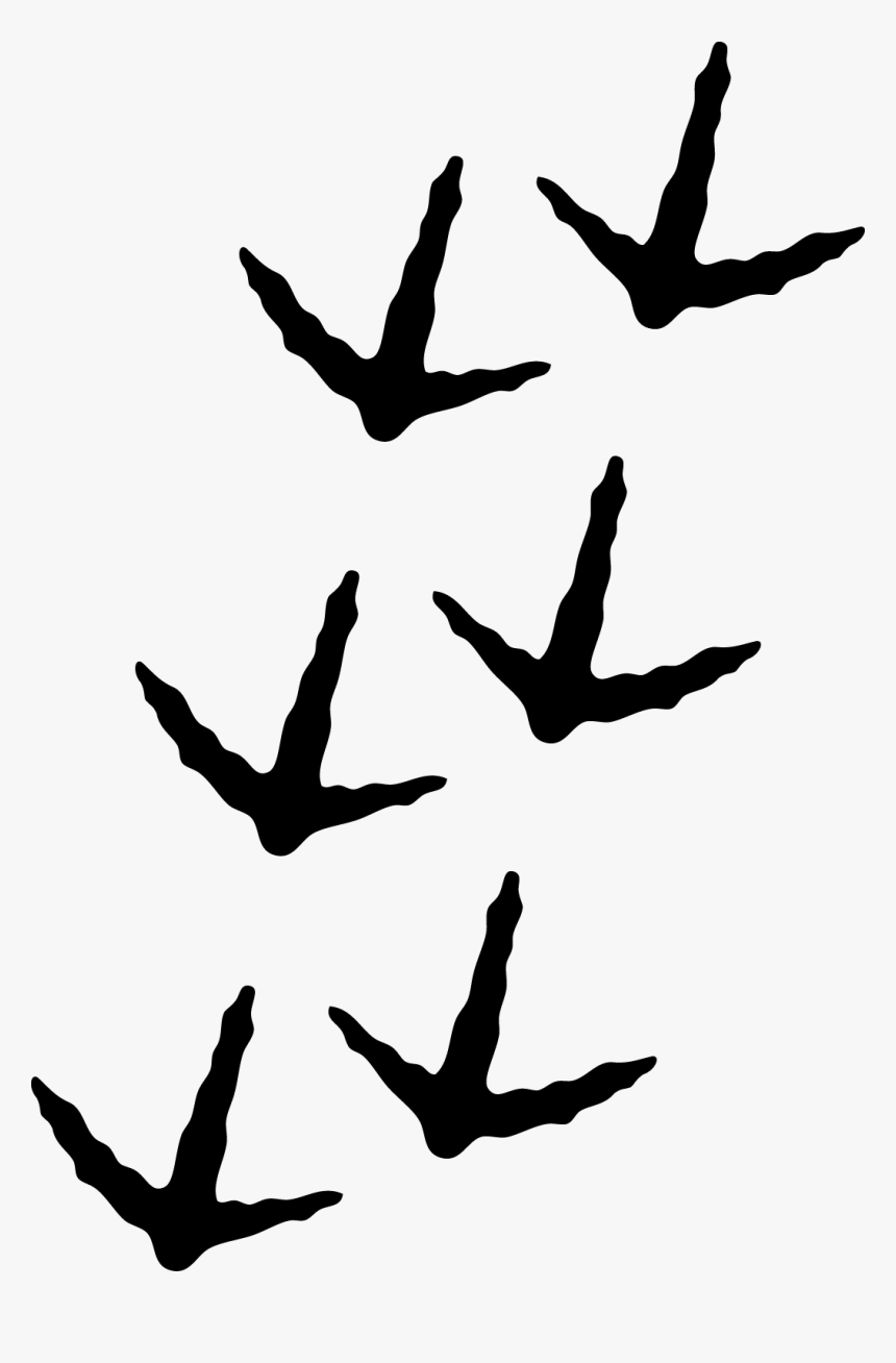 Vector Footprints Turkey - Turkey Tracks Clipart, HD Png Download ...