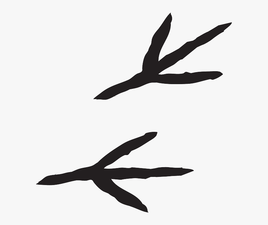 Footprint Clipart Bird - Eagle Talon Prints, HD Png Download ...