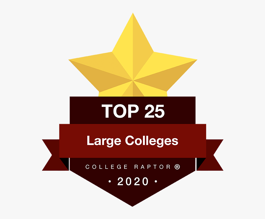 College, HD Png Download , Transparent Png Image - PNGitem