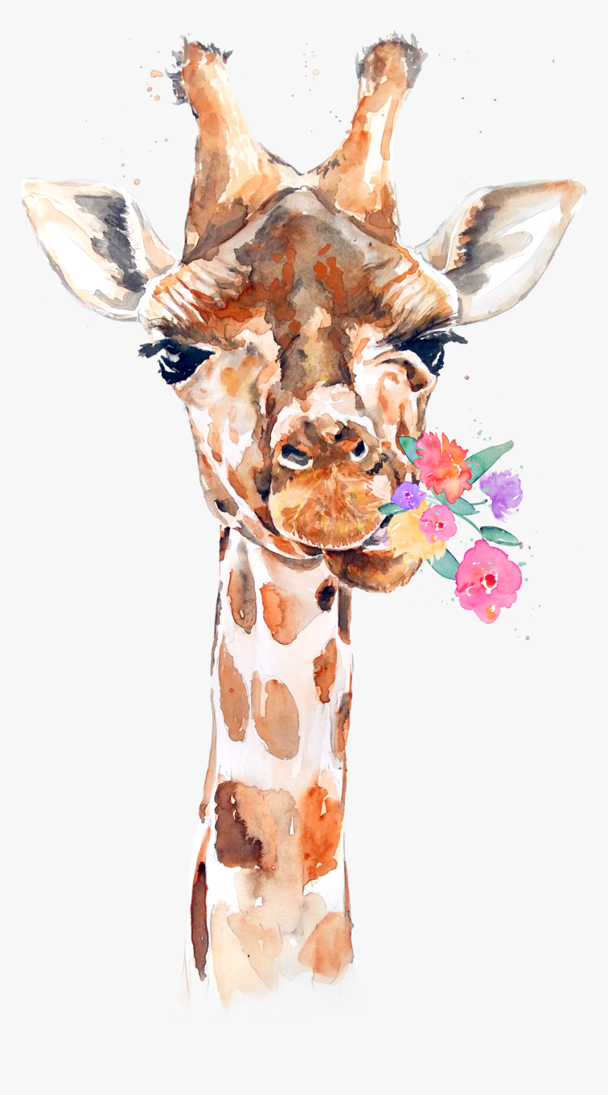 Transparent 9gag Watermark Png - Flowers Giraffe, Png Download , Transparent Png Image - PNGitem