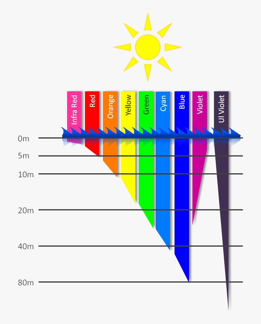 Color Spectrum Png - Colour Loss At Depth, Transparent Png ...