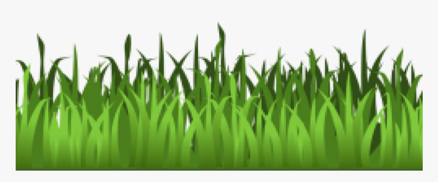 Green Grass Clip Art Meadow Green Grass Clipart Isolated - Transparent ...