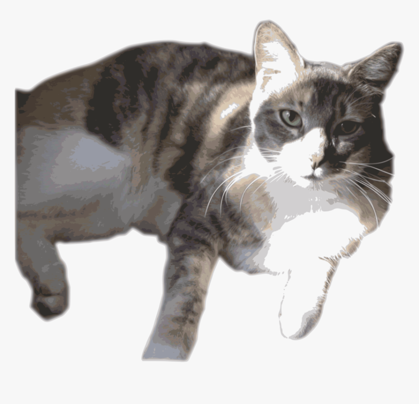 Transparent Months Clipart - Calico Cat, HD Png Download , Transparent ...