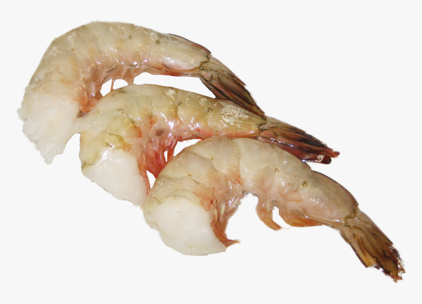 Botan Shrimp, HD Png Download , Transparent Png Image - PNGitem