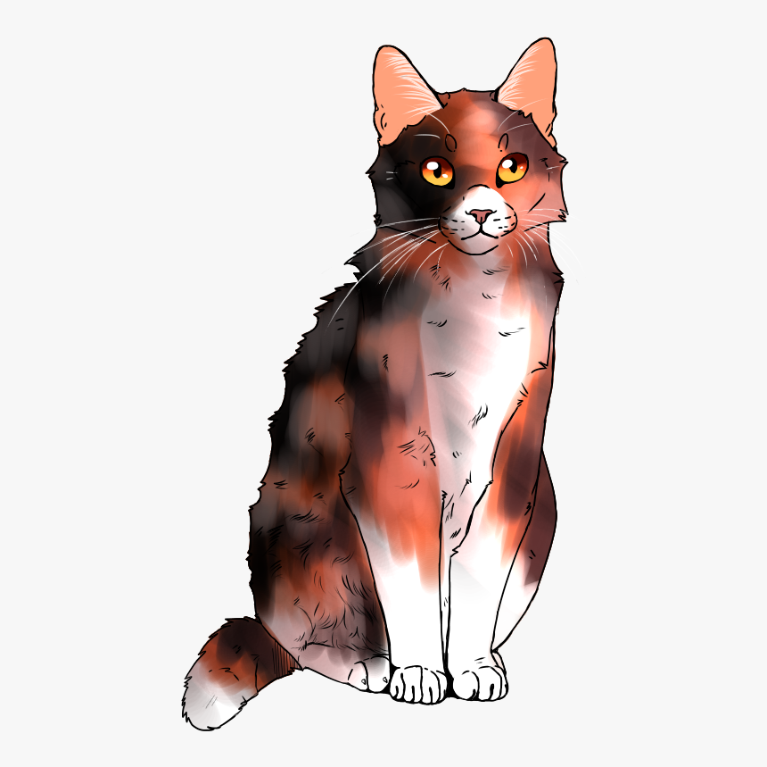 Warriors Oc& - Warrior Cats Calico Oc, HD Png Download , Transparent ...