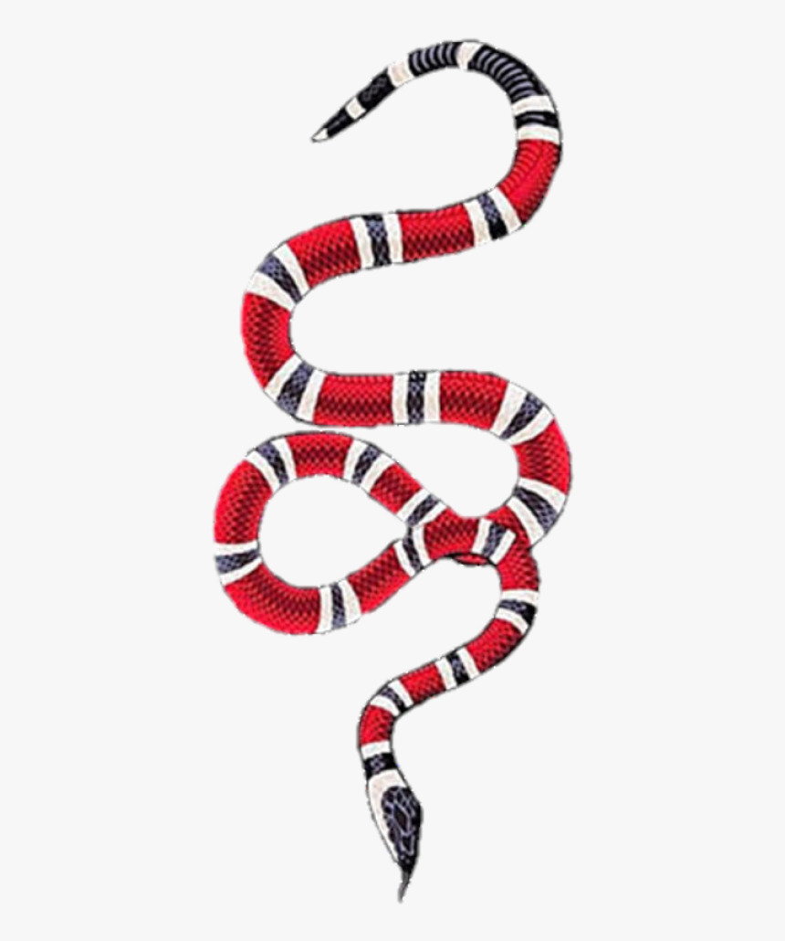 how-to-draw-gucci-snake-vectorartillustration