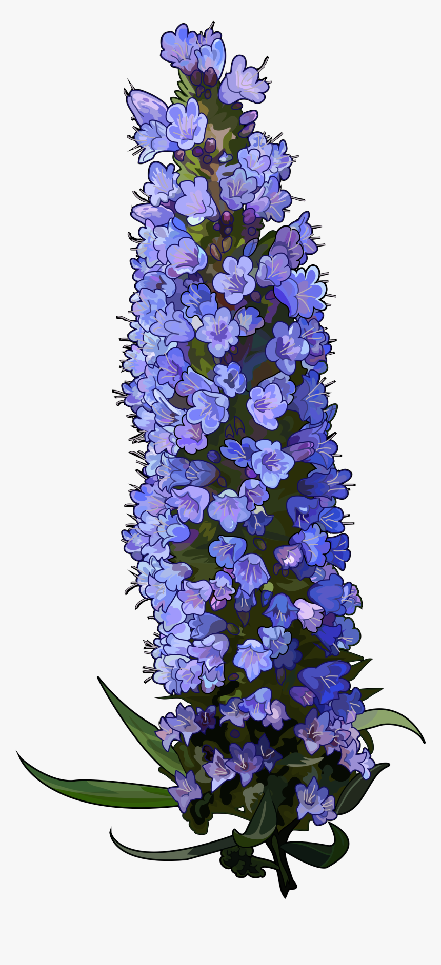 Texas Bluebonnet , Png Download - Bluebonnet, Transparent Png ...