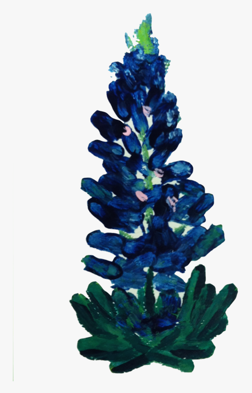 Bluebonnet, HD Png Download , Transparent Png Image - PNGitem