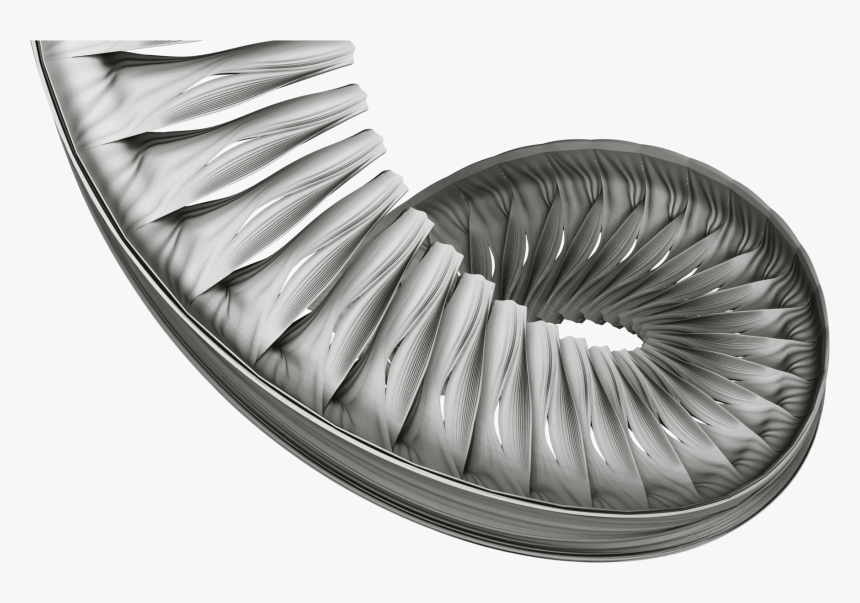 R6, HD Png Download , Transparent Png Image - PNGitem