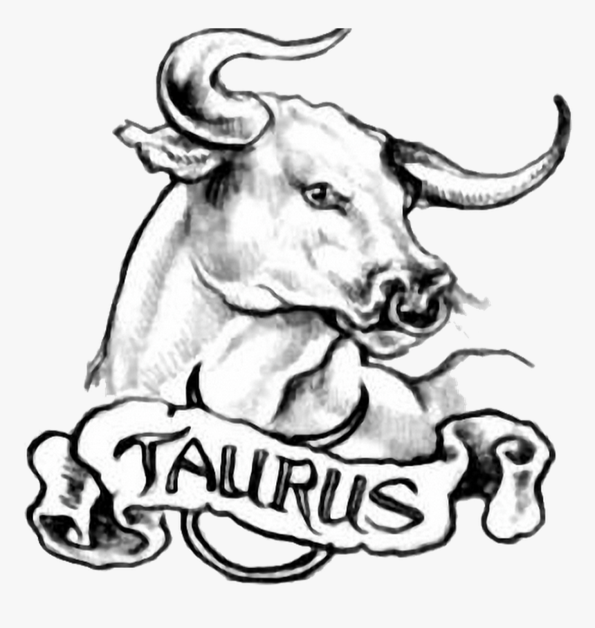 Taurus Bull Png Vector, Transparent Png , Transparent Png Image - PNGitem