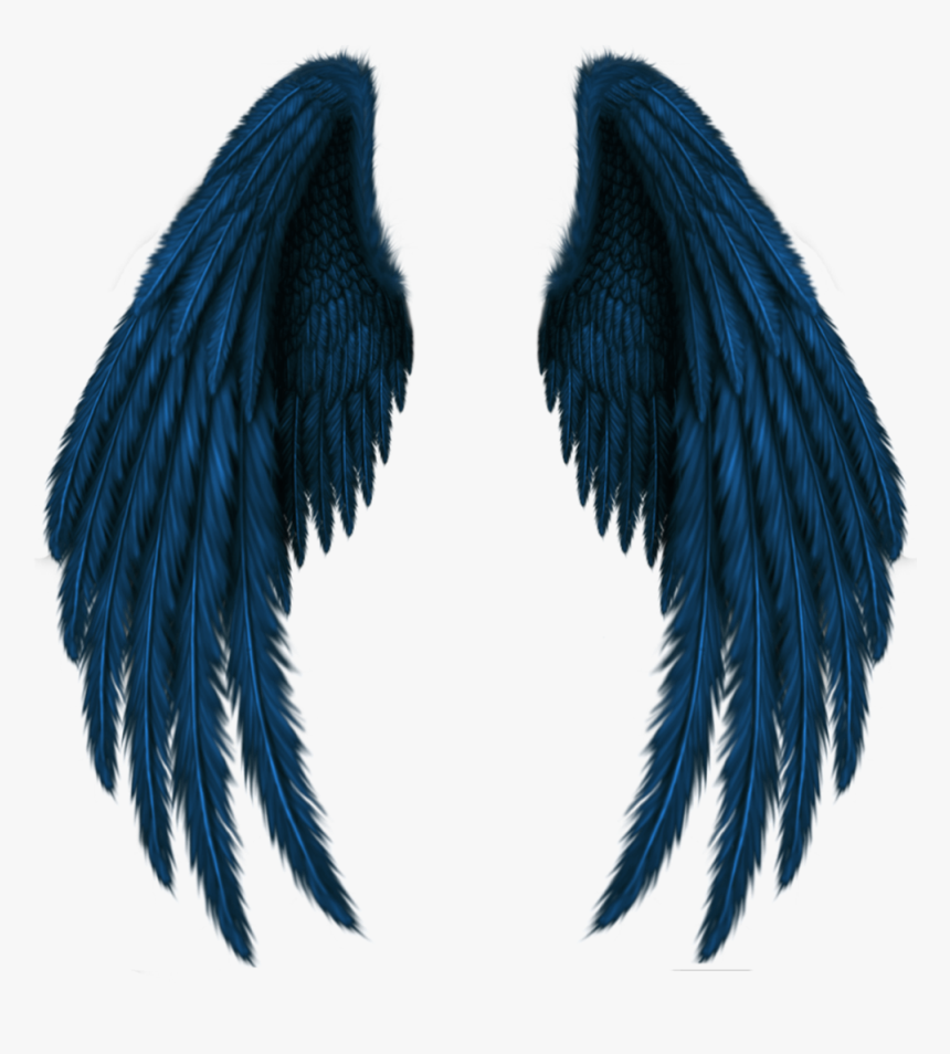 Blue Wings Png, Transparent Png , Transparent Png Image - PNGitem