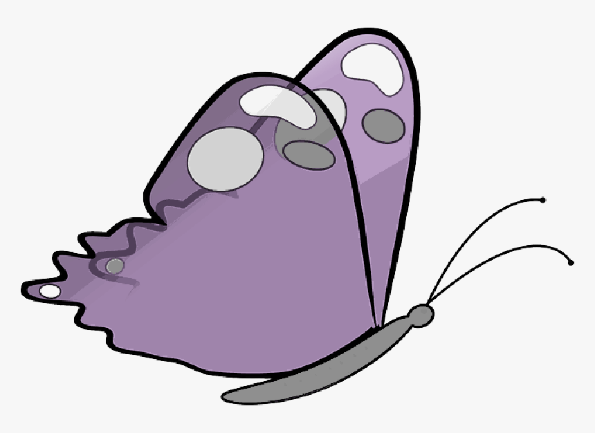 Pattern, Purple, Butterfly, Colors, Wings, Insect, HD Png Download ...