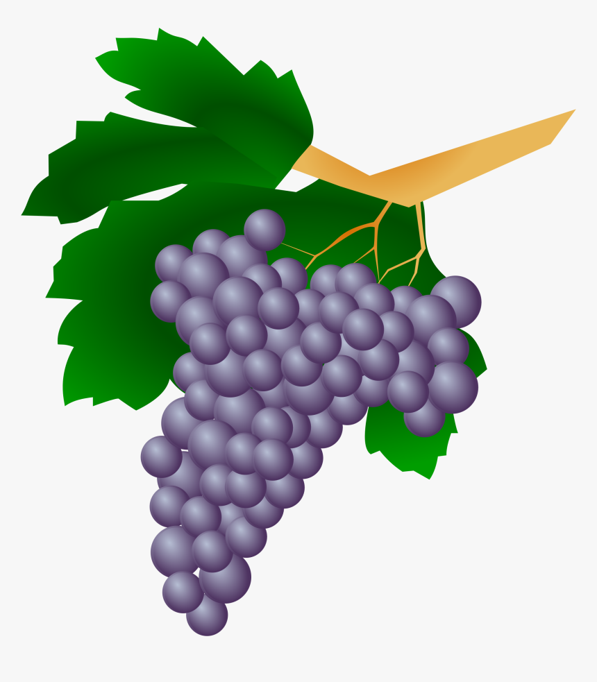 Wine Grapes Clip Art Png, Transparent Png , Transparent Png Image - PNGitem