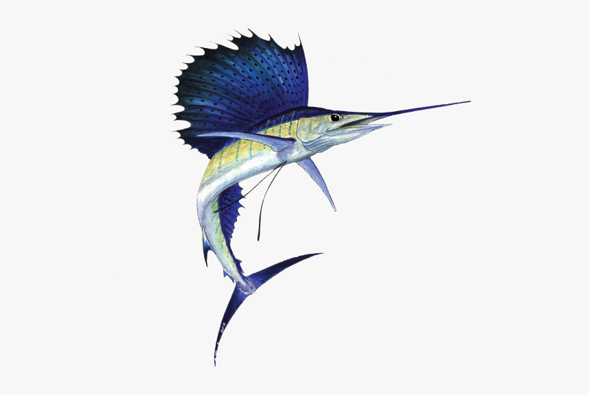 Atlantic Blue Marlin, HD Png Download , Transparent Png Image - PNGitem