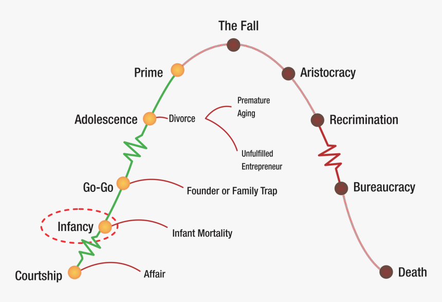 Adizes Corporate Lifecycle Model, HD Png Download , Transparent Png ...