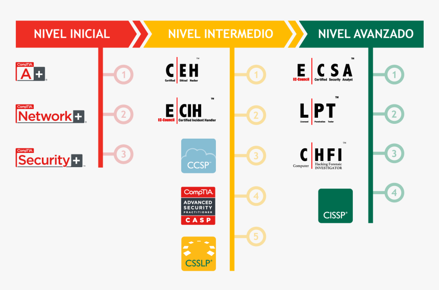 Comptia, HD Png Download , Transparent Png Image - PNGitem