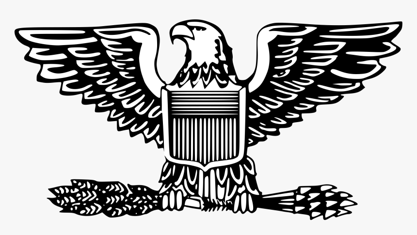 Eagles Clipart Hawk - Air Force Colonel Insignia, HD Png Download ...