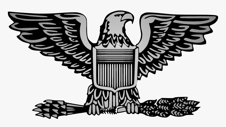 Eagle Clipart Army - Air Force Colonel Rank, HD Png Download ...