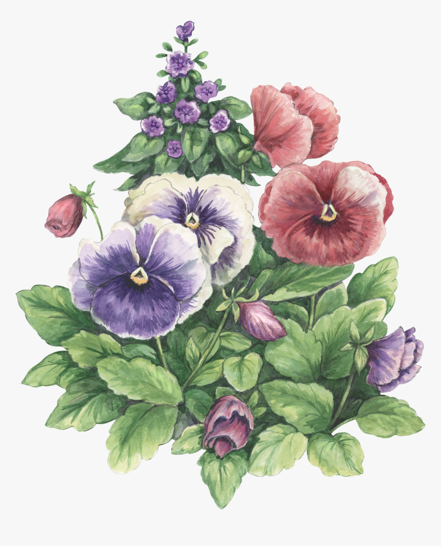 Photoshop, Papo, Decoupage, Pictures Of Flowers, Colouring ...