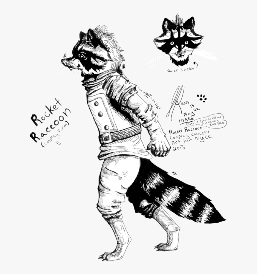 Chester The Raccoon Clipart Image
