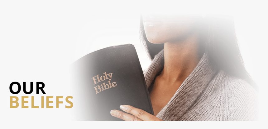 6 God Hands Png, Transparent Png , Transparent Png Image - PNGitem