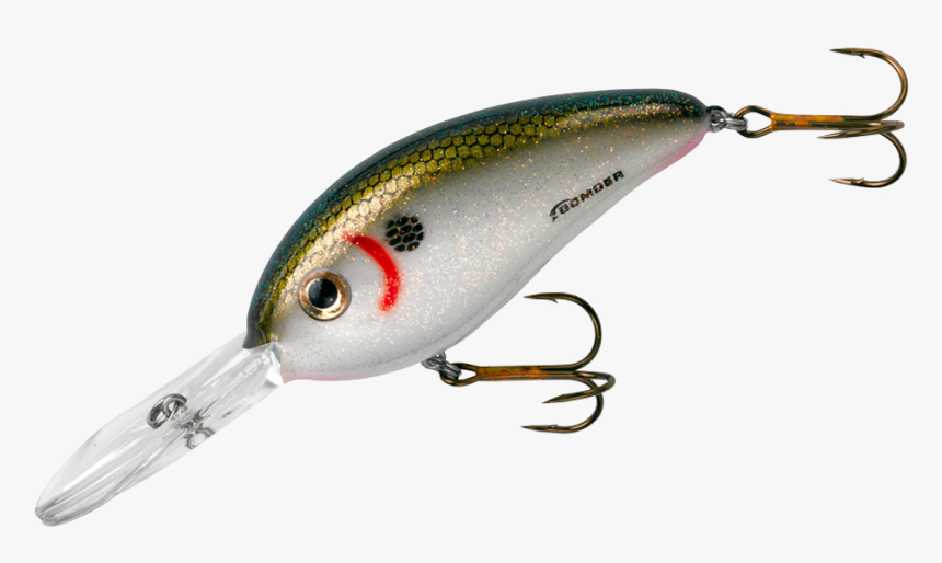 Fat Free Shad, HD Png Download , Transparent Png Image - PNGitem